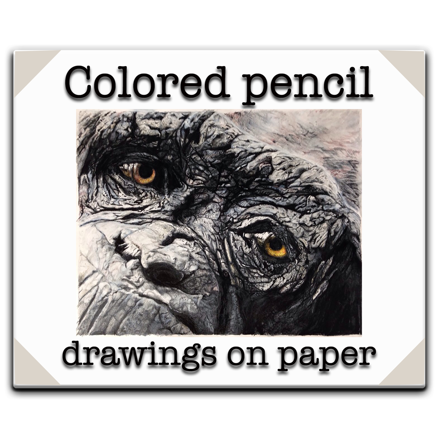 Colored Pencil on Paper – JMBaRt – Fine Art & Printmaking by Jared Barbick