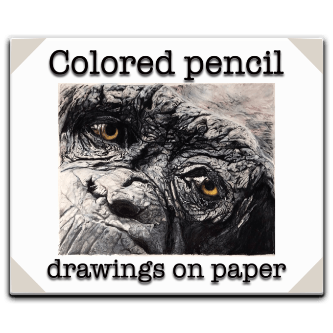 Colored Pencil on Paper – JMBaRt – Fine Art & Printmaking by Jared Barbick